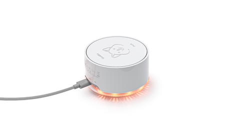 Quokka Puck | Quokka Quantum