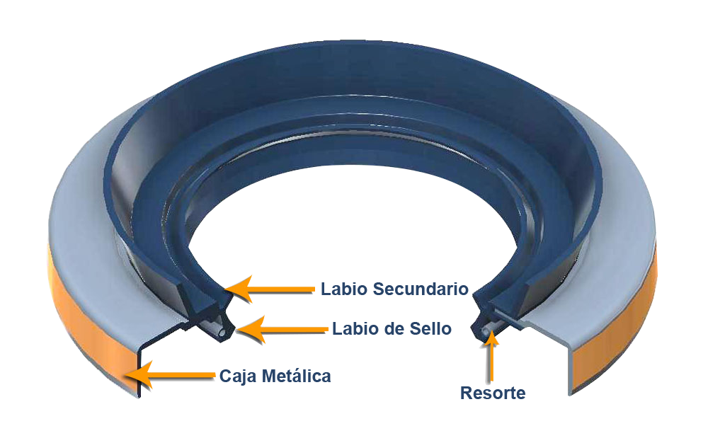 Hablemos de Retenedores de aceite