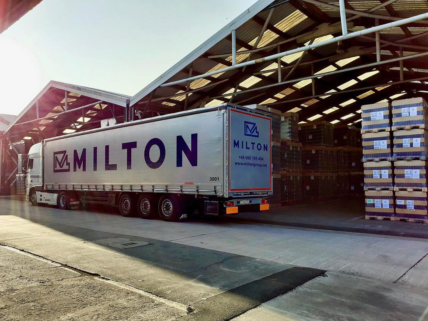 International Transport | Milton