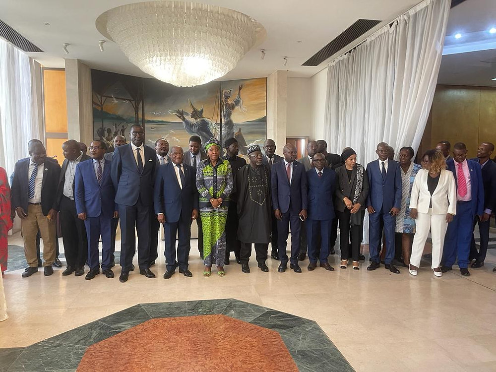 Implementation of the SDGs in the CEMAC zone: We evaluate the efforts made