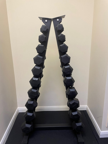 1-10kg hex db set with stand | Revival Systems