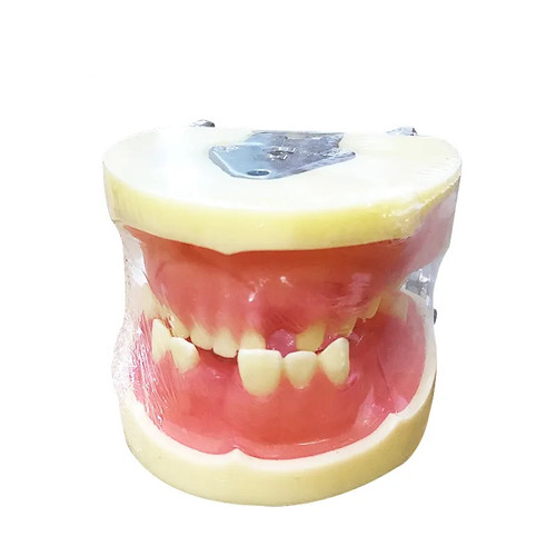Oral Implant Operation Training Dental Implant Practice Model ...