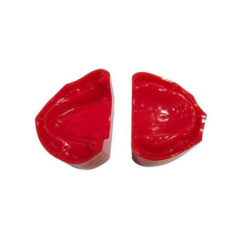 Imported resin model of edentulous jaw | Dentalshop Com