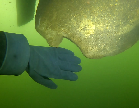 Propeller Maintenance - Max Prop - Seattle Diving Services