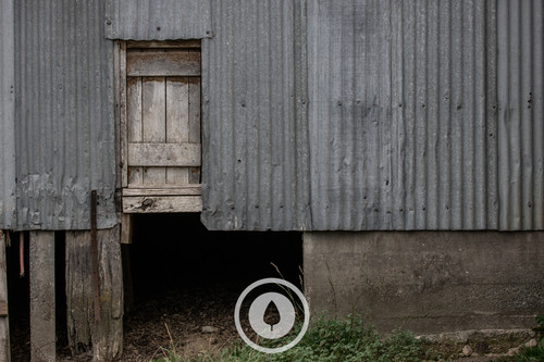 A Door to the Past | Sentient Imagery