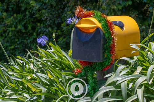 Festive Farm Letterbox | Sentient Imagery Typical kiwi farm letterbox ...