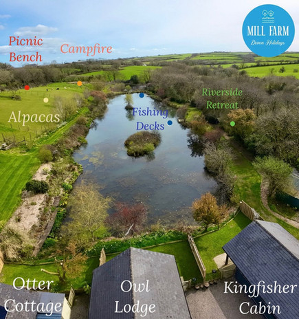 FISHING | Mill Farm Devon