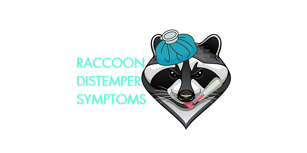 Raccoon Distemper Facts: Understanding the Virus and Its Impact