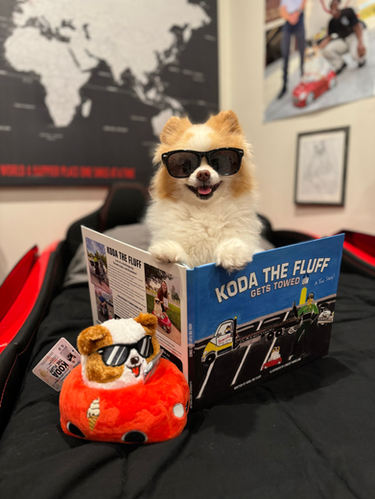 Book & Stuffy Bundle | Koda the Fluff Site