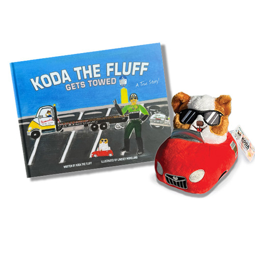 Book & Stuffy Bundle | Koda the Fluff Site