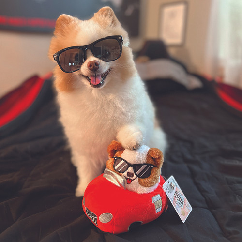 Koda The Fluff Mallow! -Stuffed Animal (LTD Edition) | Koda the Fluff Site