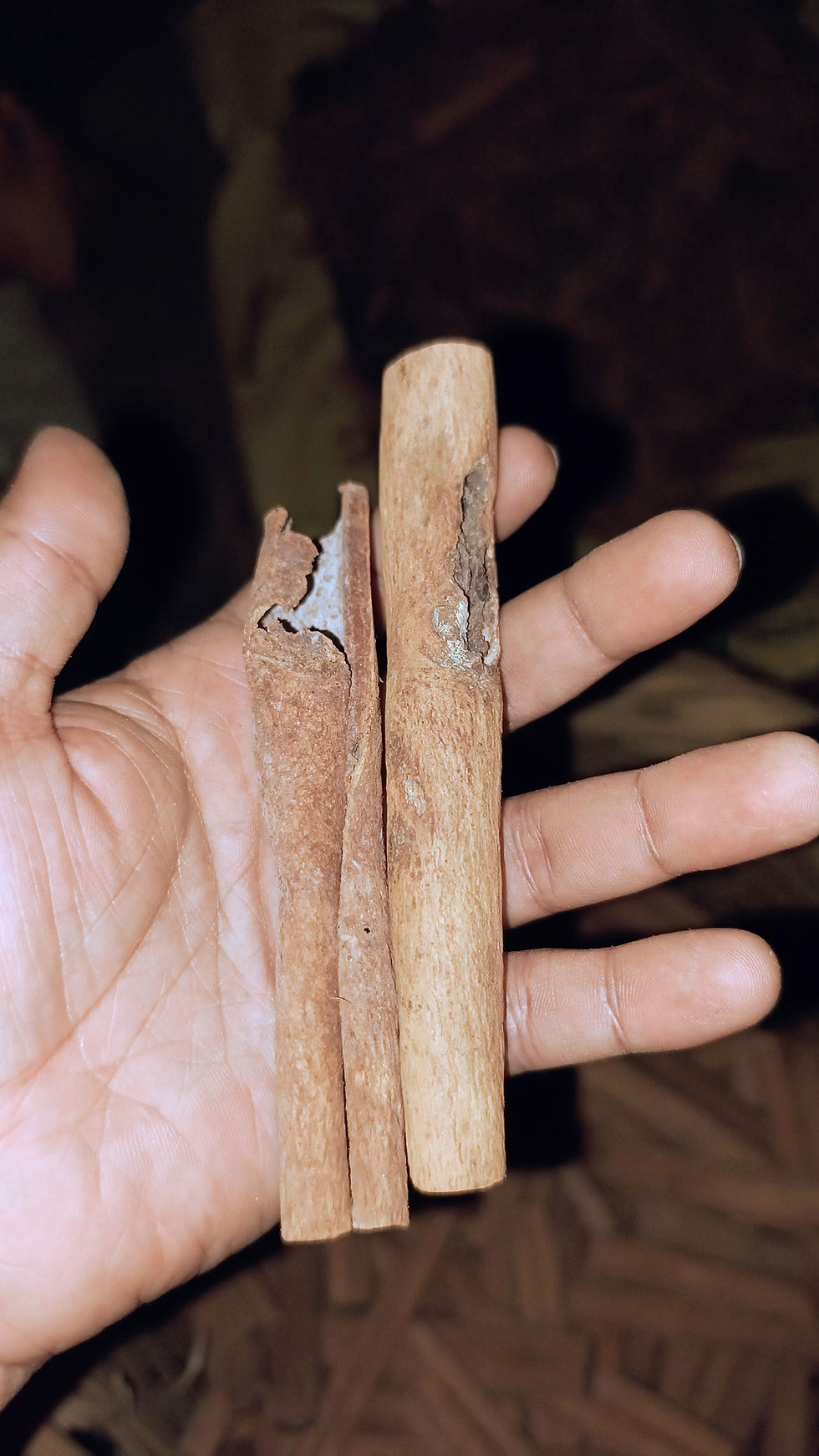 Why Hand-Polished Meghalaya Cinnamon Is Superior to Factory-Processed ...