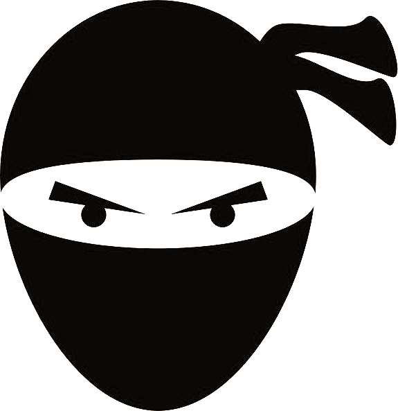 Join “Ninja 101” on Spaces by Wix