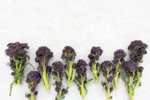 Broccoli, Early Purple Sprouting | Eves Garden Seeds