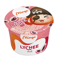 OUR PRODUCTS | Mingo Ice Cream HK