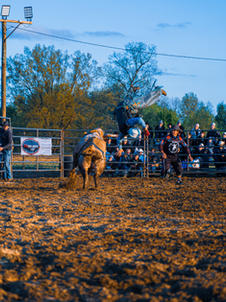 Rodeo | High Steel Rodeo Productions | North Bloomfield