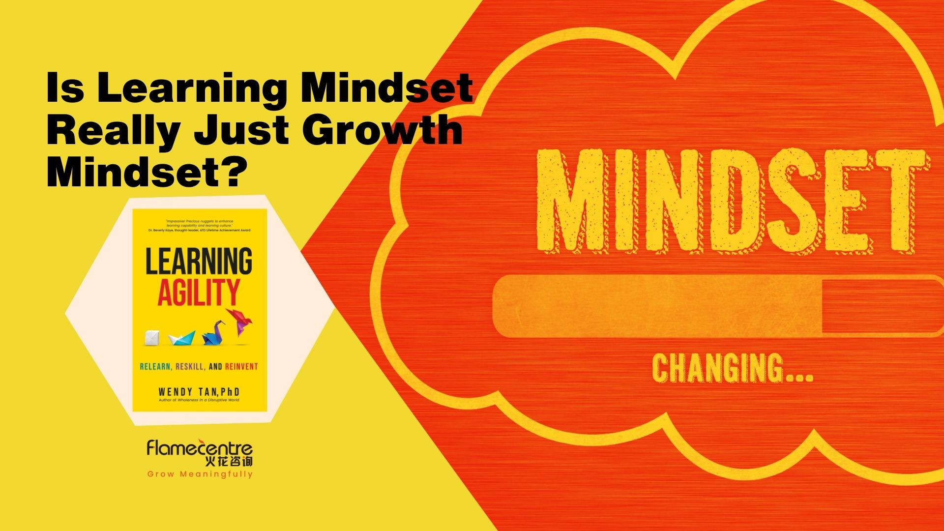 Is Learning Mindset Really Just Growth Mindset?
