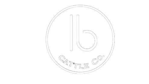 Home | 16 Cattle Company