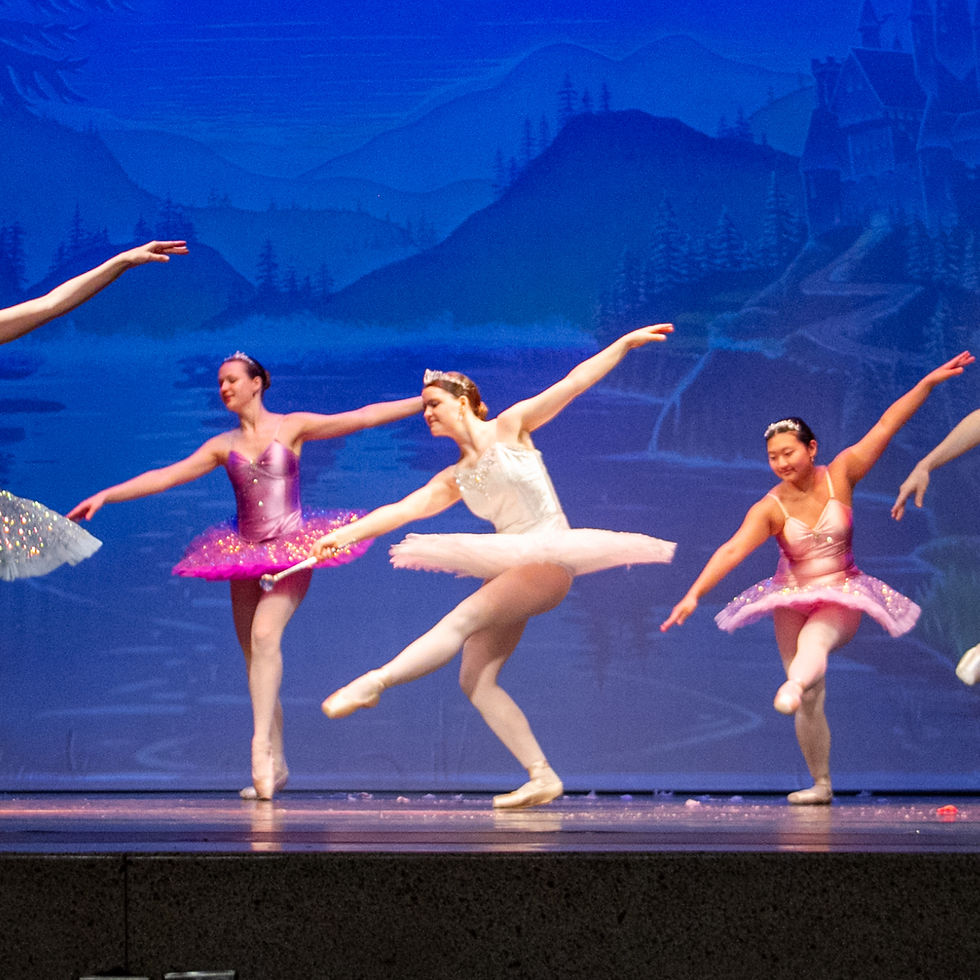 Youth Dance Classes | LBP School of Dance | Chicago, Lincoln Square