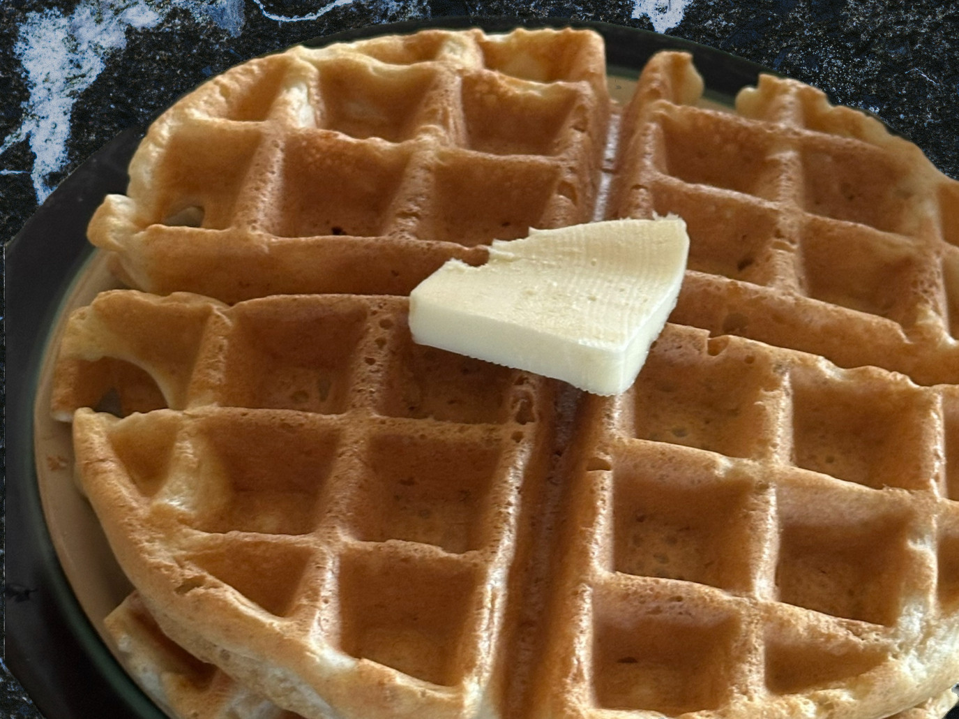 Gallery | The Magic Moose LLC