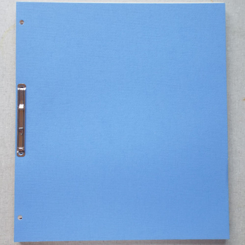 Blank Stamp Album Pages - 40 Pages with Glassine Protective Sheets ...