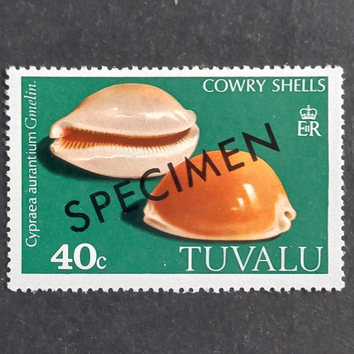 Thematics - Tuvalu Cowrie Shell "Specimen" - Single - MNH | Wizozzy Stamps