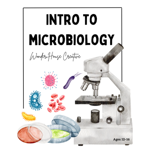 Intro to Microbiology | WONDERHOUSECREATIVE