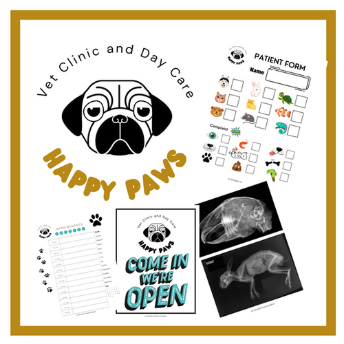 Vet Clinic Dramatic Play Set | WONDERHOUSECREATIVE