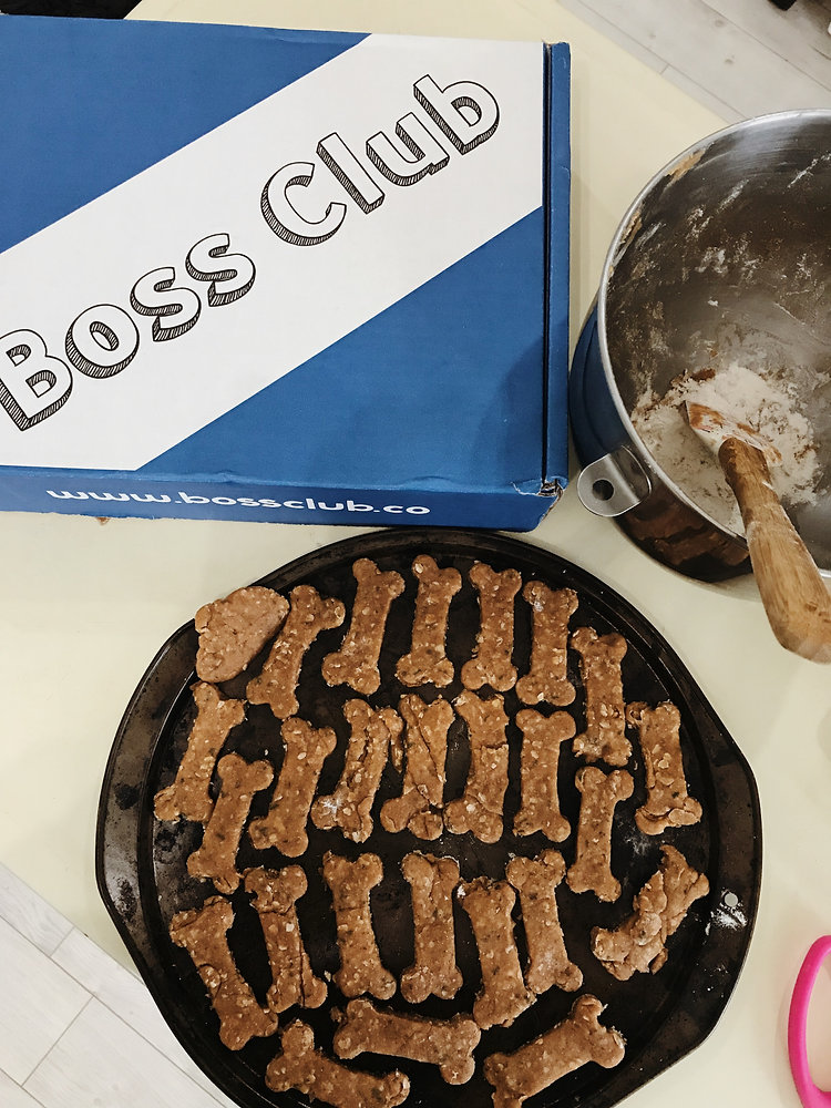 The Boss Club for Kids