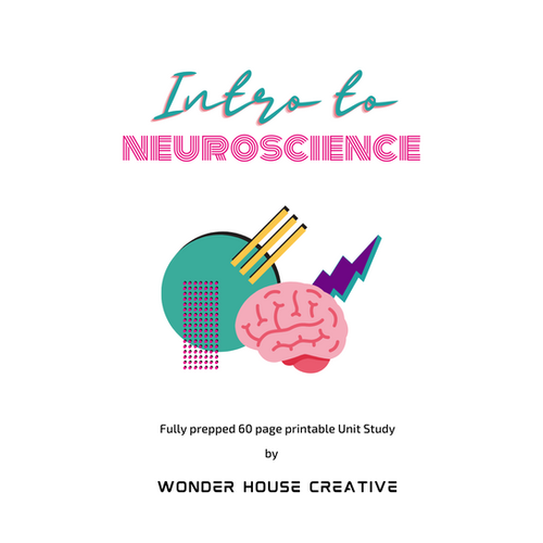 Intro to Neuroscience Unit | WONDERHOUSECREATIVE