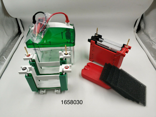 OEM for BioRad Mini-PROTEAN Vertical Electro Cell 4-gel Mini Trans-Blot ...