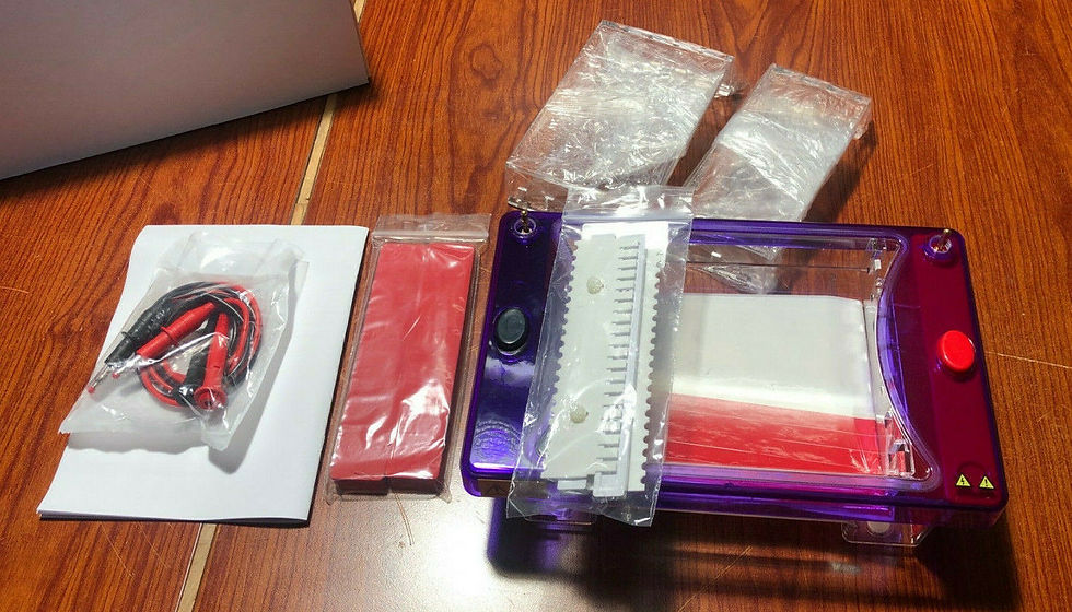 New OEM replace Bio-Rad Wide Mini-Sub Cell GT System, 15 x 10 cm tray ...