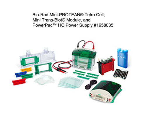 New OEM replace Bio-Rad 1658035 Mini-PROTEAN Tetra Cell, Mini Trans ...