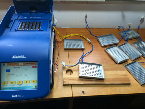 ABI Applied Biosystems Veriti PCR Thermal Cycler 96 and 384well Only ...