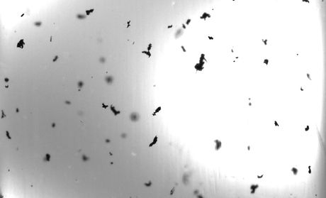 Sustainable Microplastics Separation Techniques | SATOORNIK