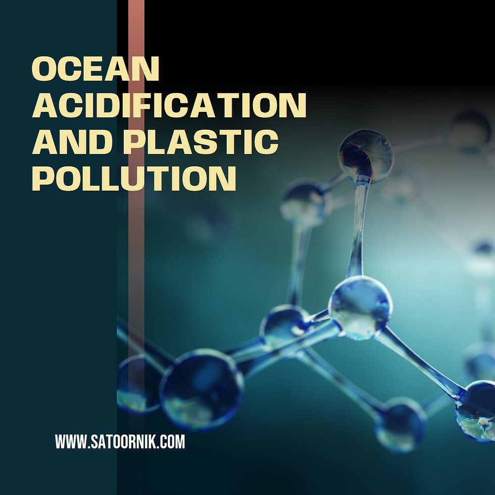 Ocean Acidification and Plastic Pollution as Accelerating Planetary ...