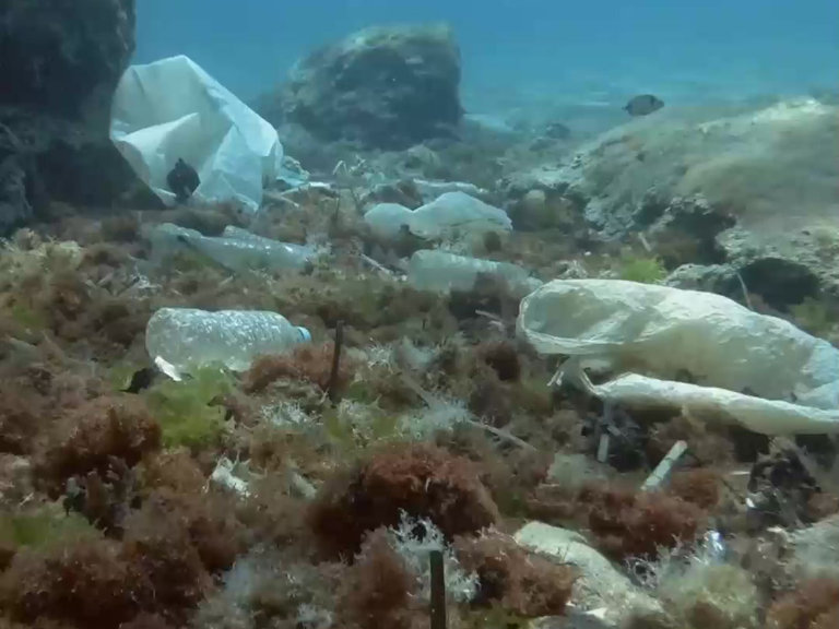 Exploring the depths of microplastic pollution in our oceans