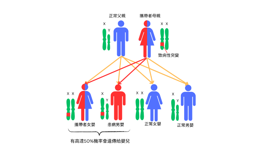 Post | Codex Genetics | 基因測試 | DNA 檢查