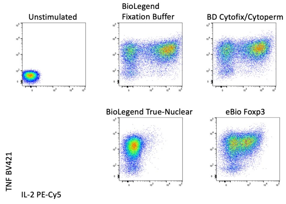 Doing more with less: Fixatives