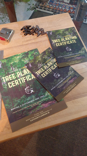 Digital Copy of the Tree Planting Certificate | catchmycarbon.ie