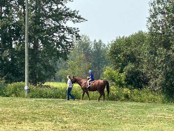 Horseback Riding Edmonton | Spruce Grove | Putting Horse Ranch