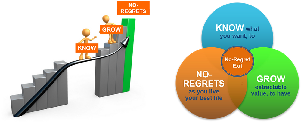 THE 6 STEPS TO A NO-REGRET EXIT: TRANSITIONING ON YOUR TERMS