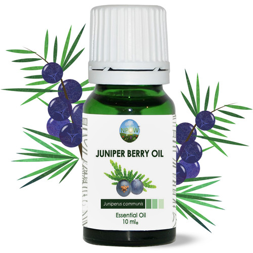 Juniper Berry Essential Oil, Juniperis Communis