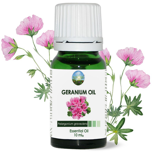 Geranium Essential Oil - Pelargonium Graveolens