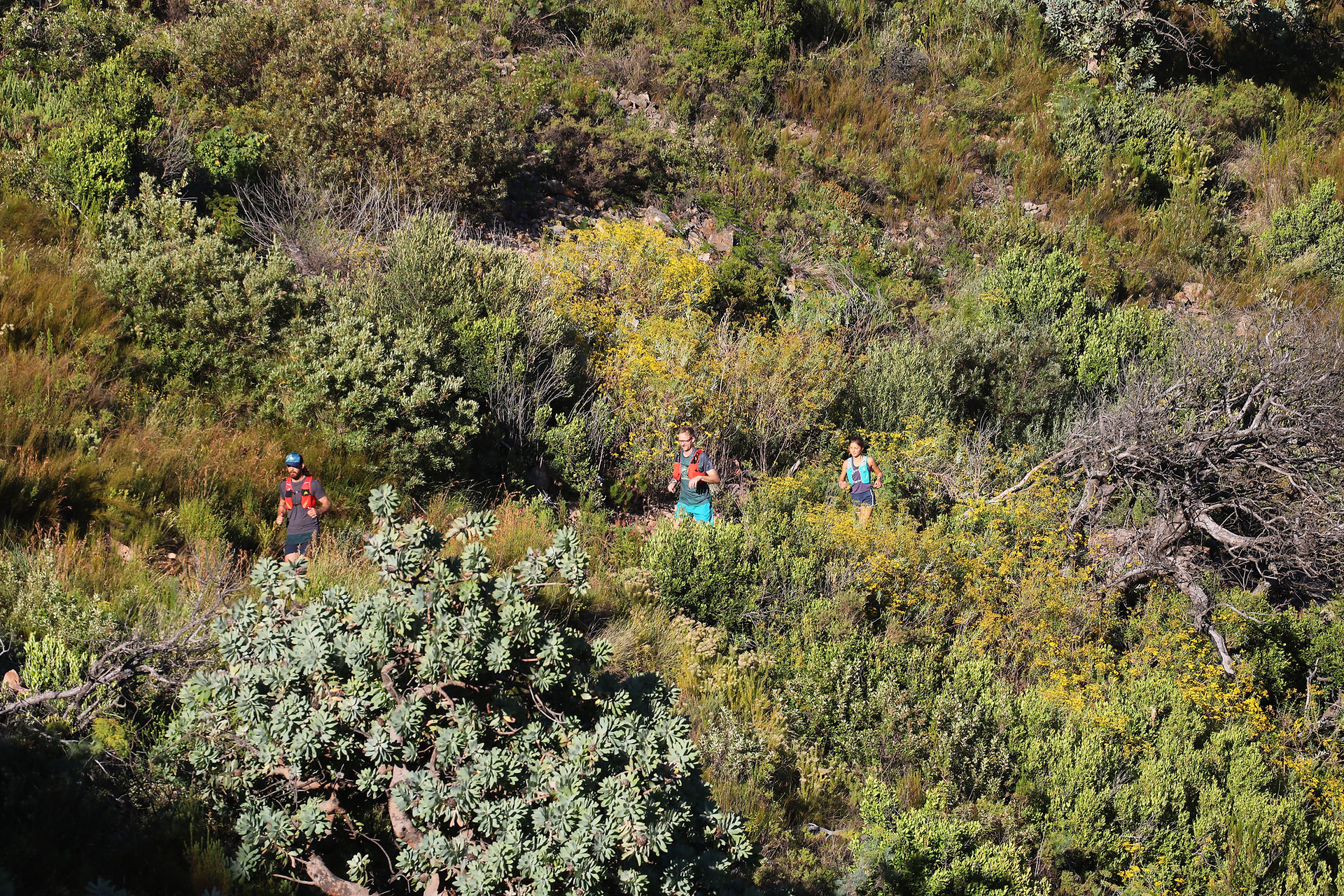 Running Hydration Systems | Soft Flasks and bladders | Aonijie Australia