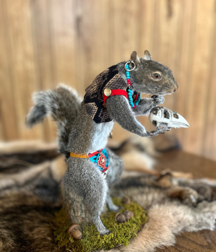 Squirrel Thinking While Holding Skull | Daka Taidermy Novelt