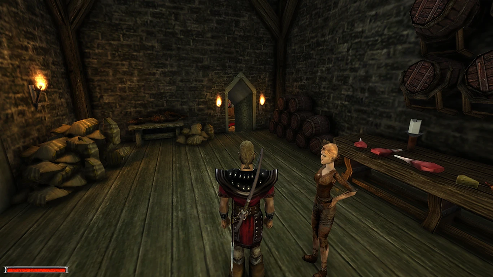 Gothic Modesty Mod - A small texture pack for Gothic 1 has been added