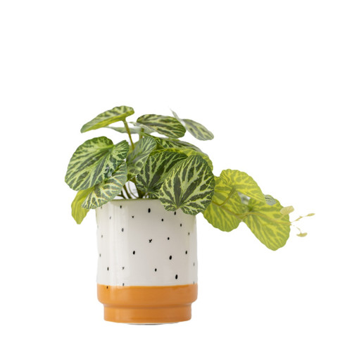 HOOGA Faux Botanical 05BPOTE09 Sonerila Leaves in Pot | ED SHOP IPOH