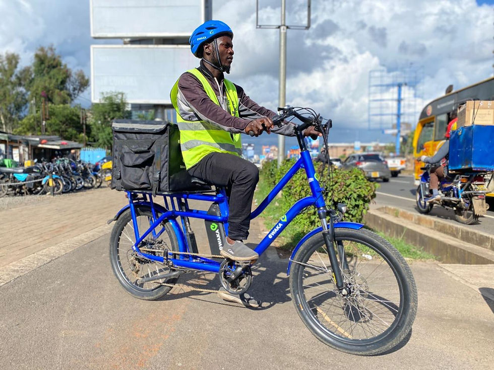 Our Land, Our Future| eWAKA'S Impact on Environmental Restoration.