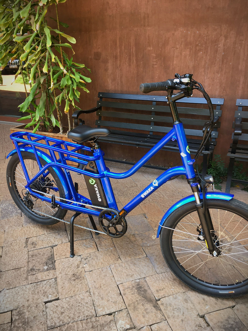 How eWAKA Electric Cargo Bikes are Revolutionising Last-Mile Delivery ...